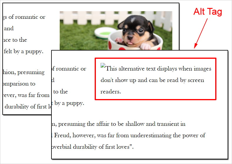 How To Write Perfect Image Alt Tags In WordPress | BytePlate Brand